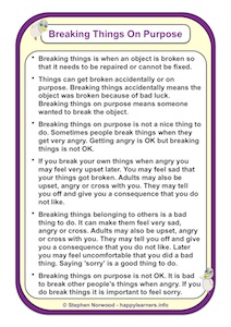 Breaking Things Social Stories